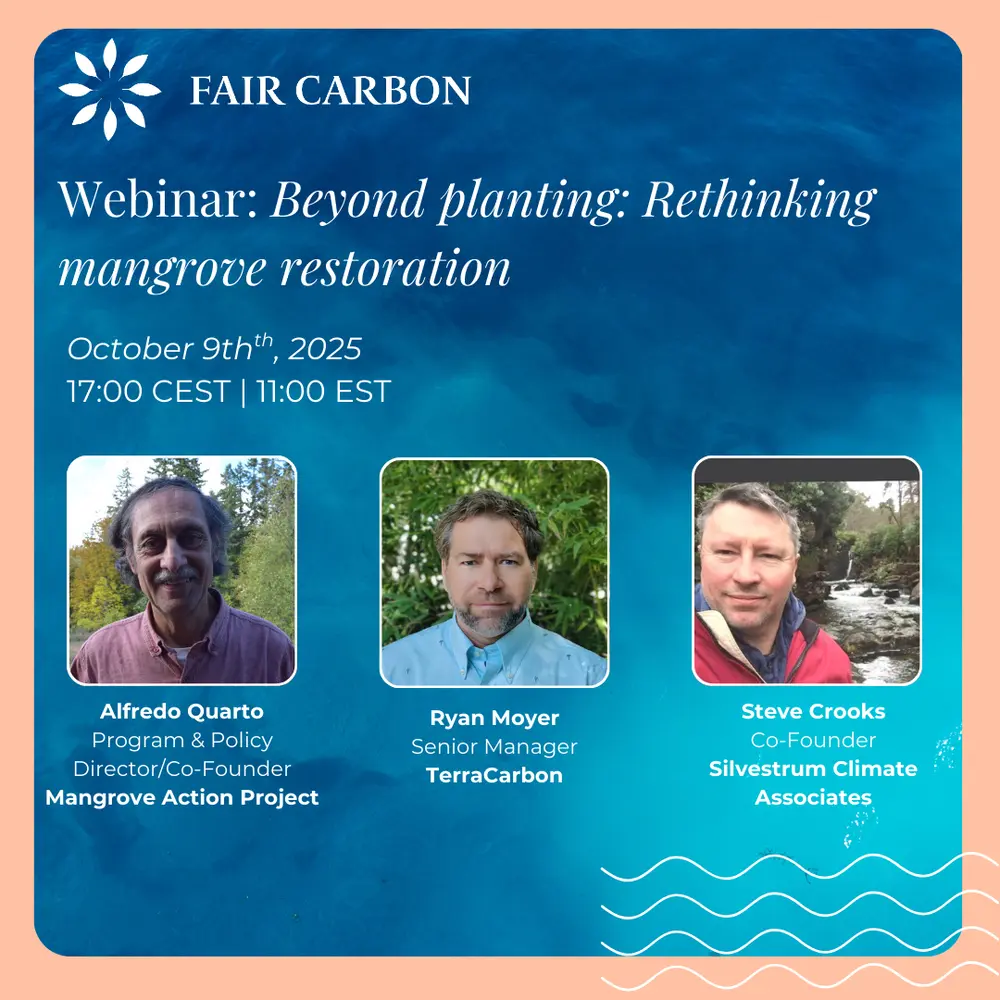 Webinar: Beyond planting: Rethinking mangrove restoration - FairCarbon